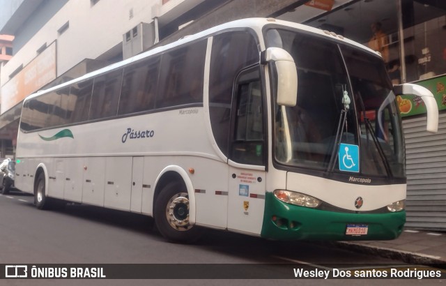 Turismo Pássaro Azul 0D10 em Porto Alegre por Wesley Dos santos ...